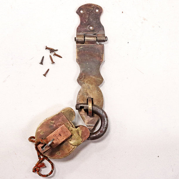 XXL Brass Hasp and Staple | Scaramanga