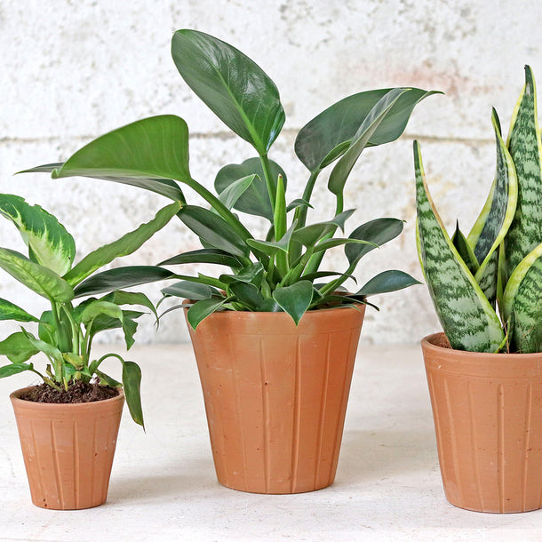 Small Fluted Terracotta Pot | Plant Pots | Scaramanga
