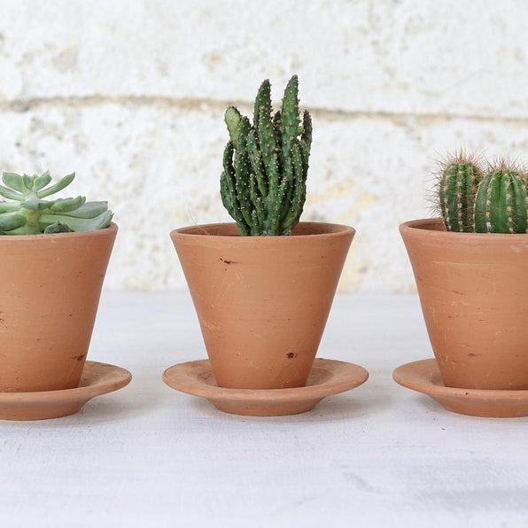 Terracotta Plant Pots | Terracotta Pots | Cacti Pots