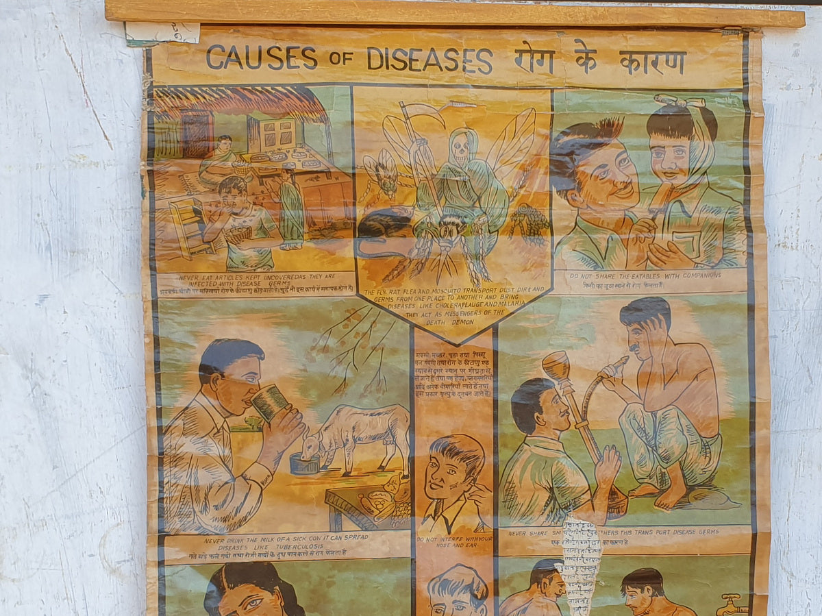 Old Indian Poster Causes Of Diseases