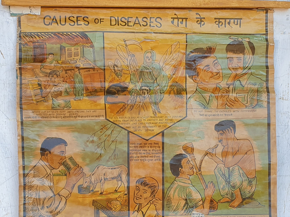 Old Indian Poster Causes Of Diseases