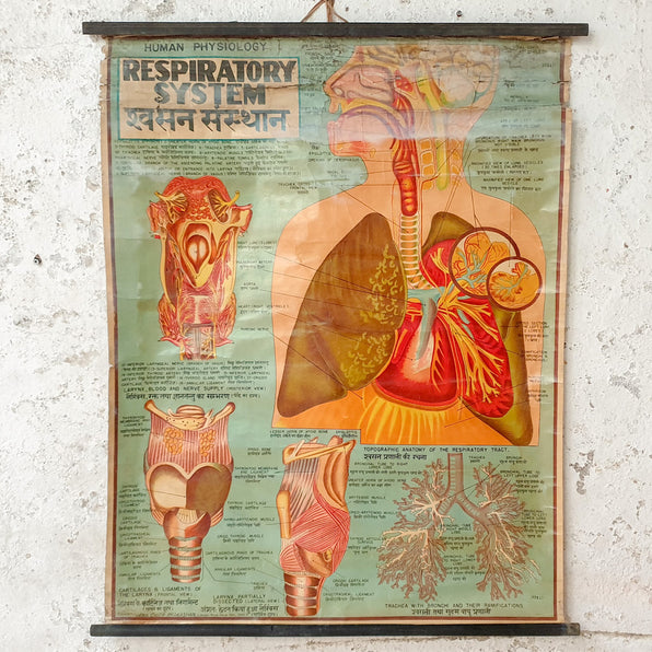 Vintage Art, Posters, Signs & Paintings | Scaramanga