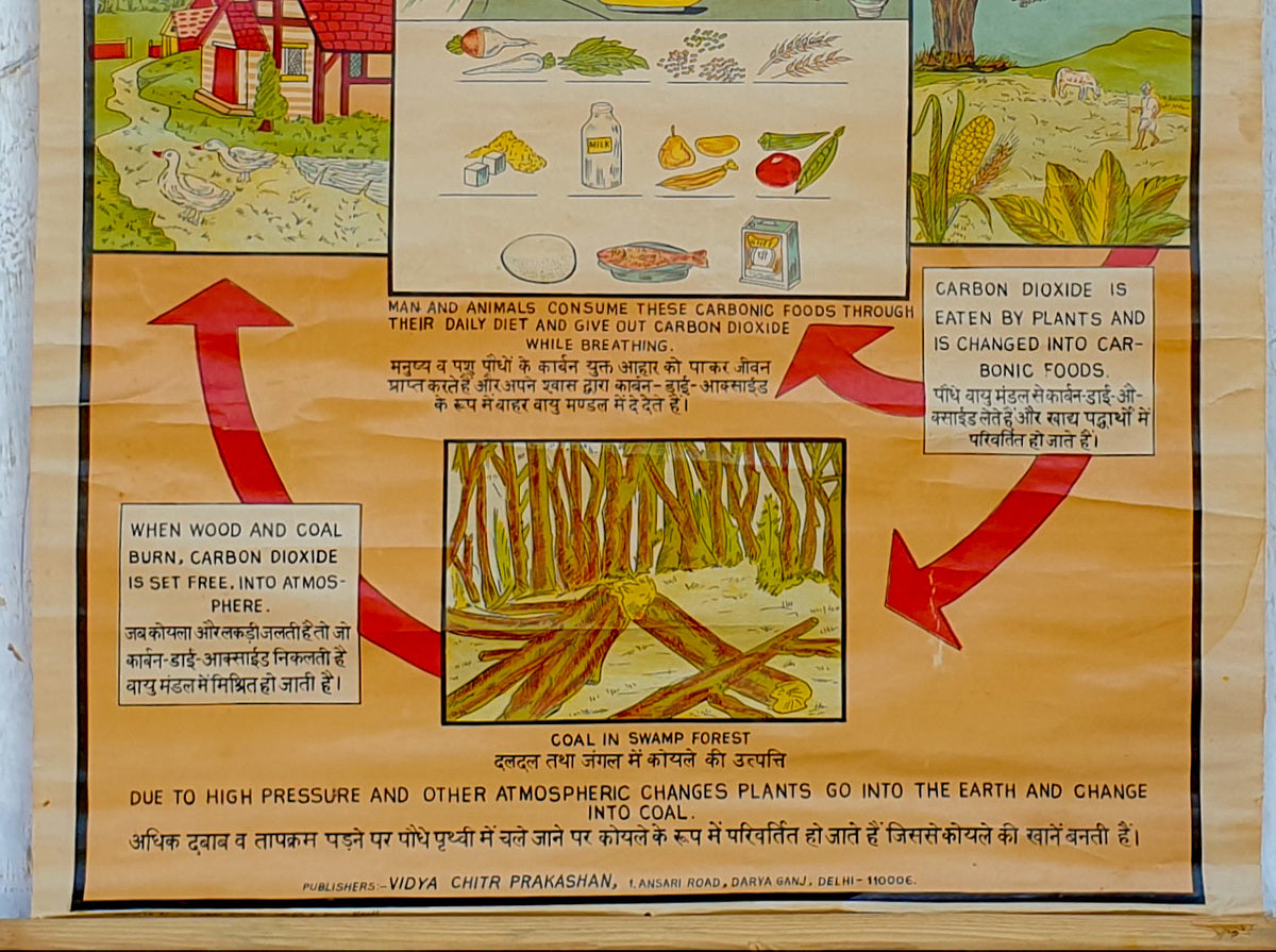 Old School Poster Carbon Cycle In Nature - Scaramanga