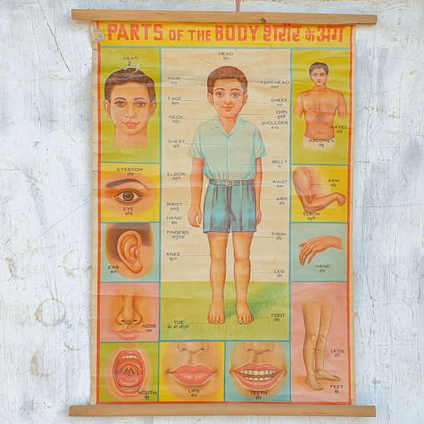 Old School Poster Part Of The Body