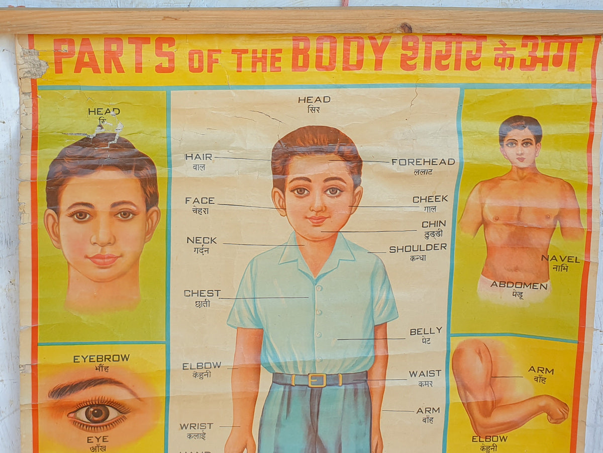 Old School Poster Part Of The Body