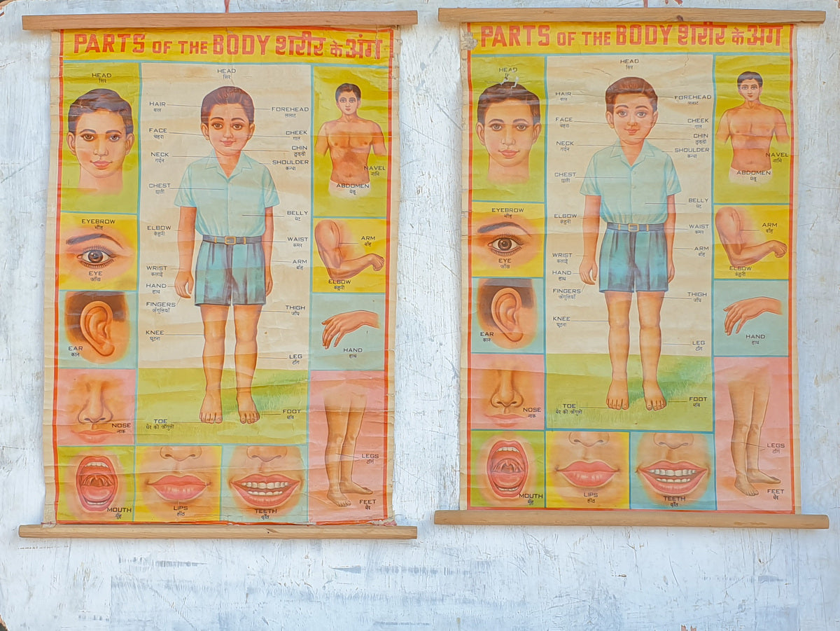 Old School Poster Part Of The Body