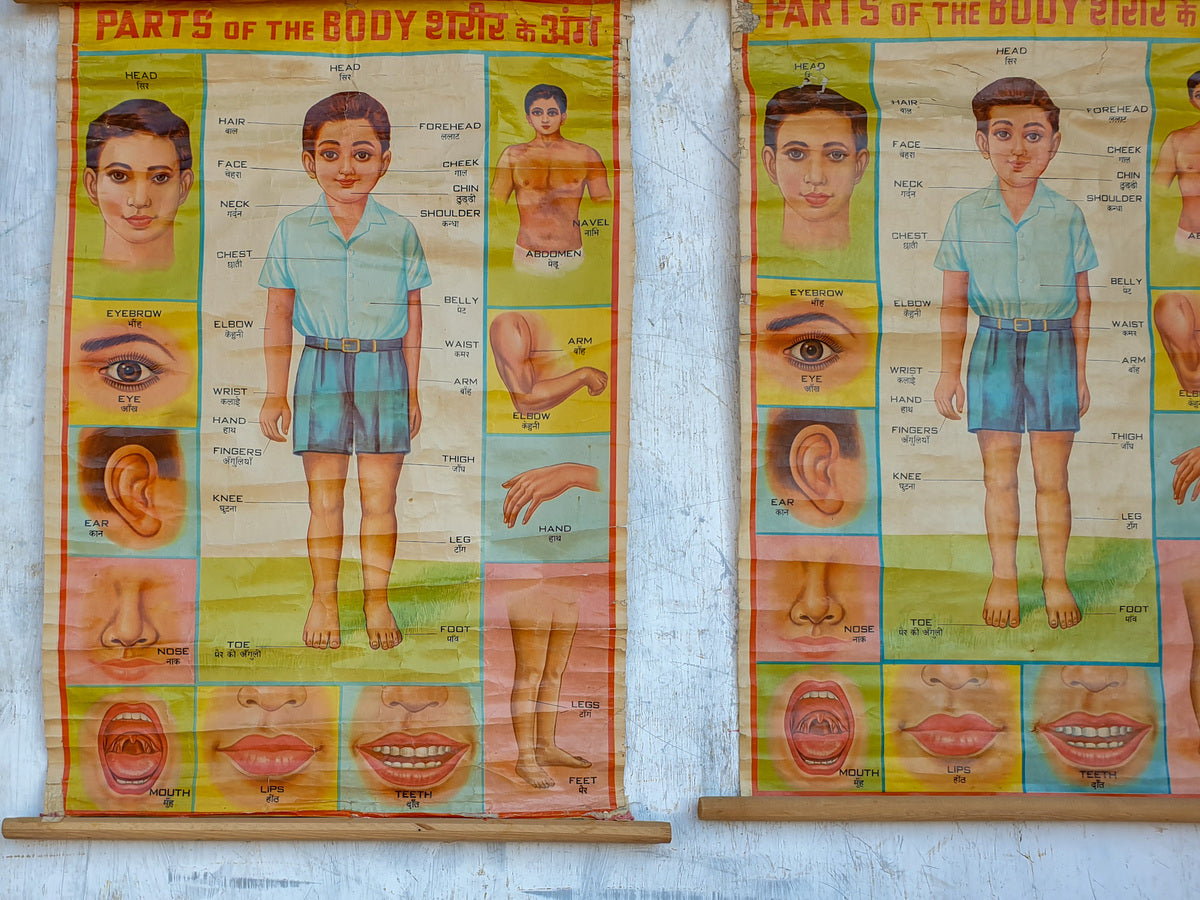 Old School Poster Part Of The Body