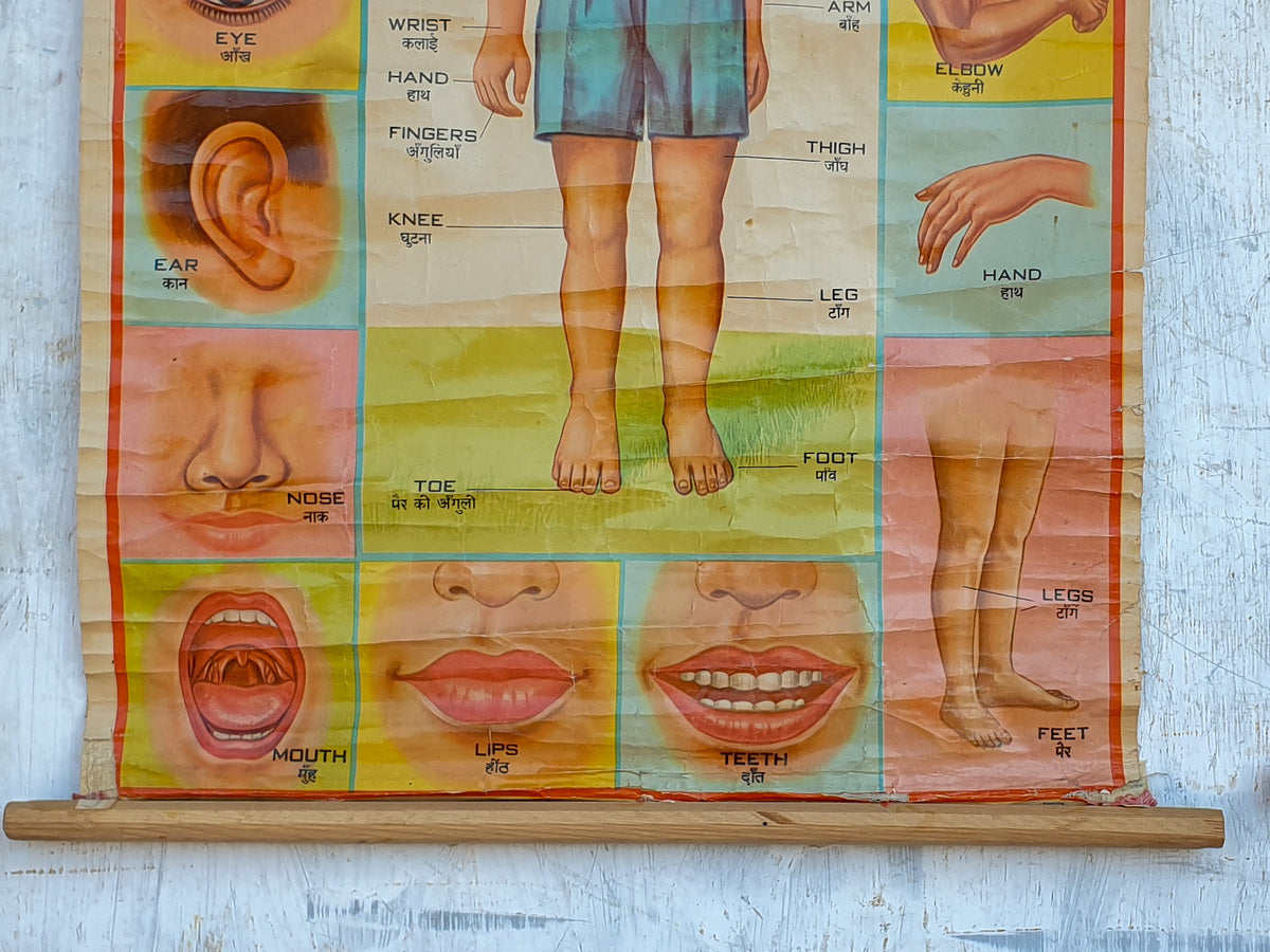 Old School Poster Part Of The Body