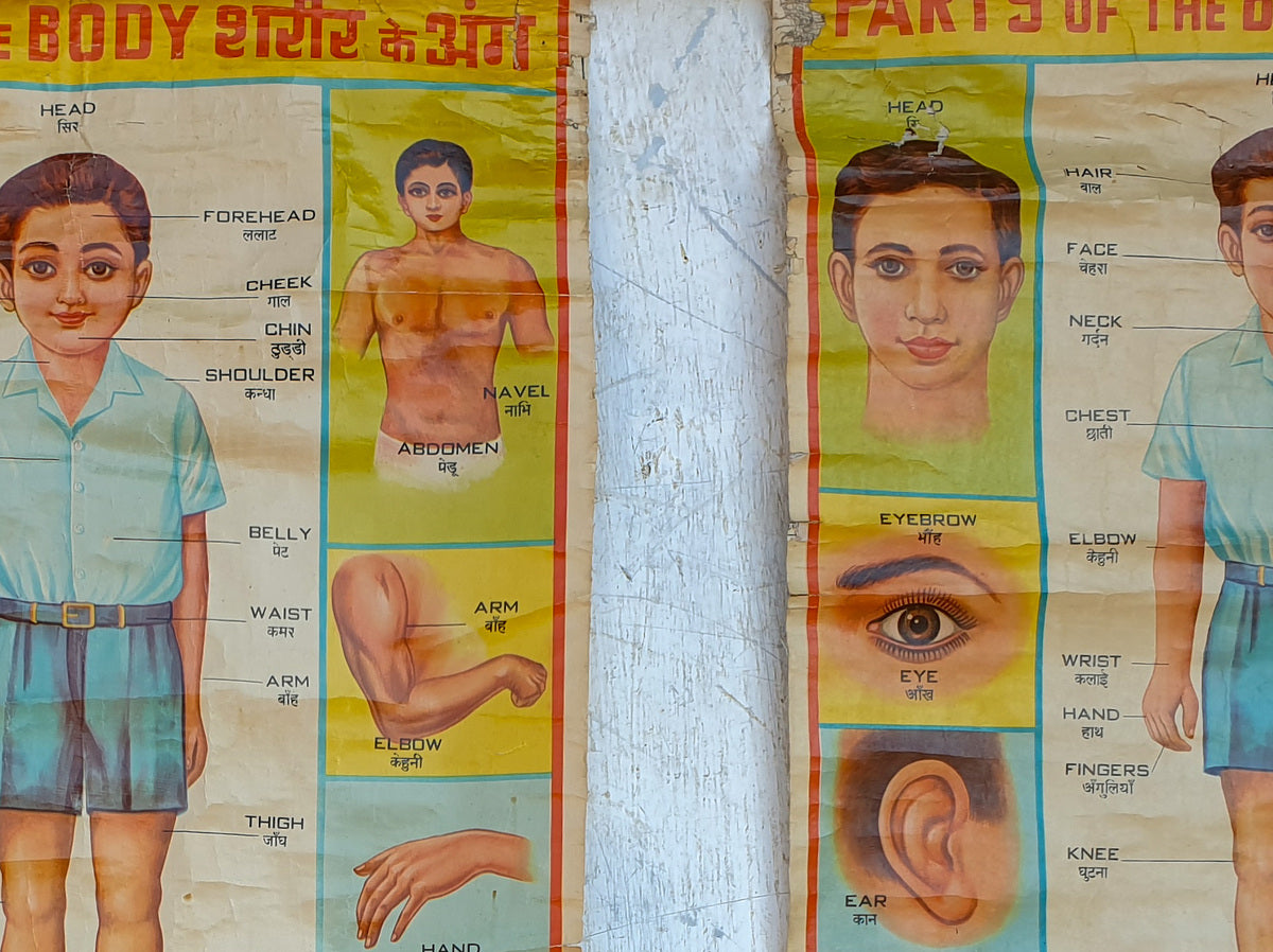 Old School Poster Part Of The Body